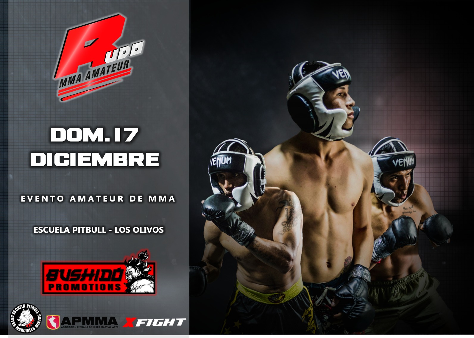 APMMA – Asociación Peruana de MMA